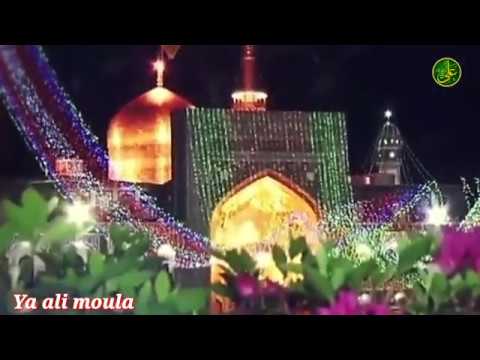 Ya Imam e Reza | WhatsApp Status || Ya ali moula
