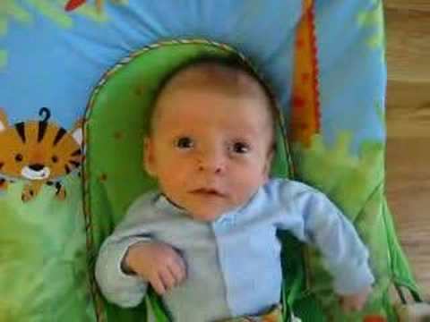 Jamie Berg-Rainforest Explorer - YouTube