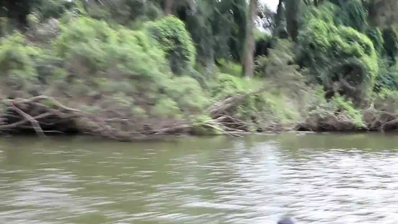 calliope river - YouTube