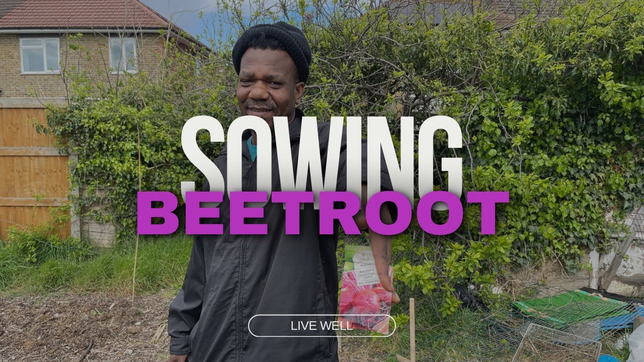 Sowing beetroot seeds in my UK allotment | Live Well - YouTube