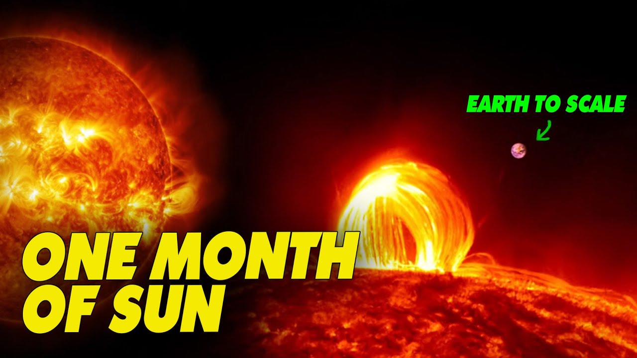 Month Timelapse of Sun in 4K Using NASA’s Data - YouTube