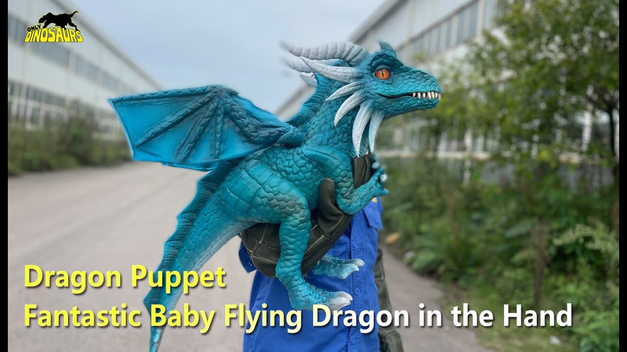Fantastic Baby Flying Dragon in the Hand | Dragon Puppet - YouTube