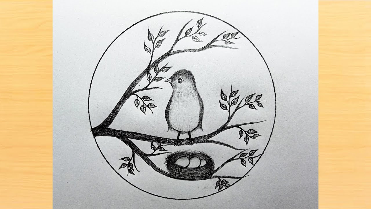 How to draw a beautiful bird in a circle | Beautiful bird drawing ...