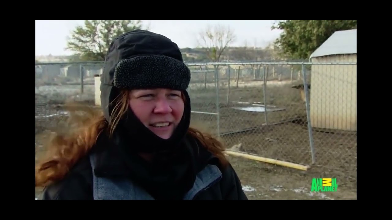 animal cops Houston s9e3 - YouTube