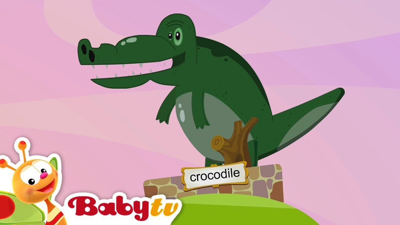 Let's Explore the Zoo! | Animals Song for Toddler | BabyTV - YouTube