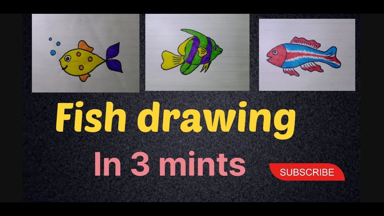 Fish drawing, How to draw draw fish, easy way to draw three types of ...
