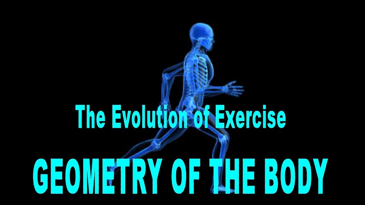 Geometry of the Body - The Evolution of Exercise - YouTube