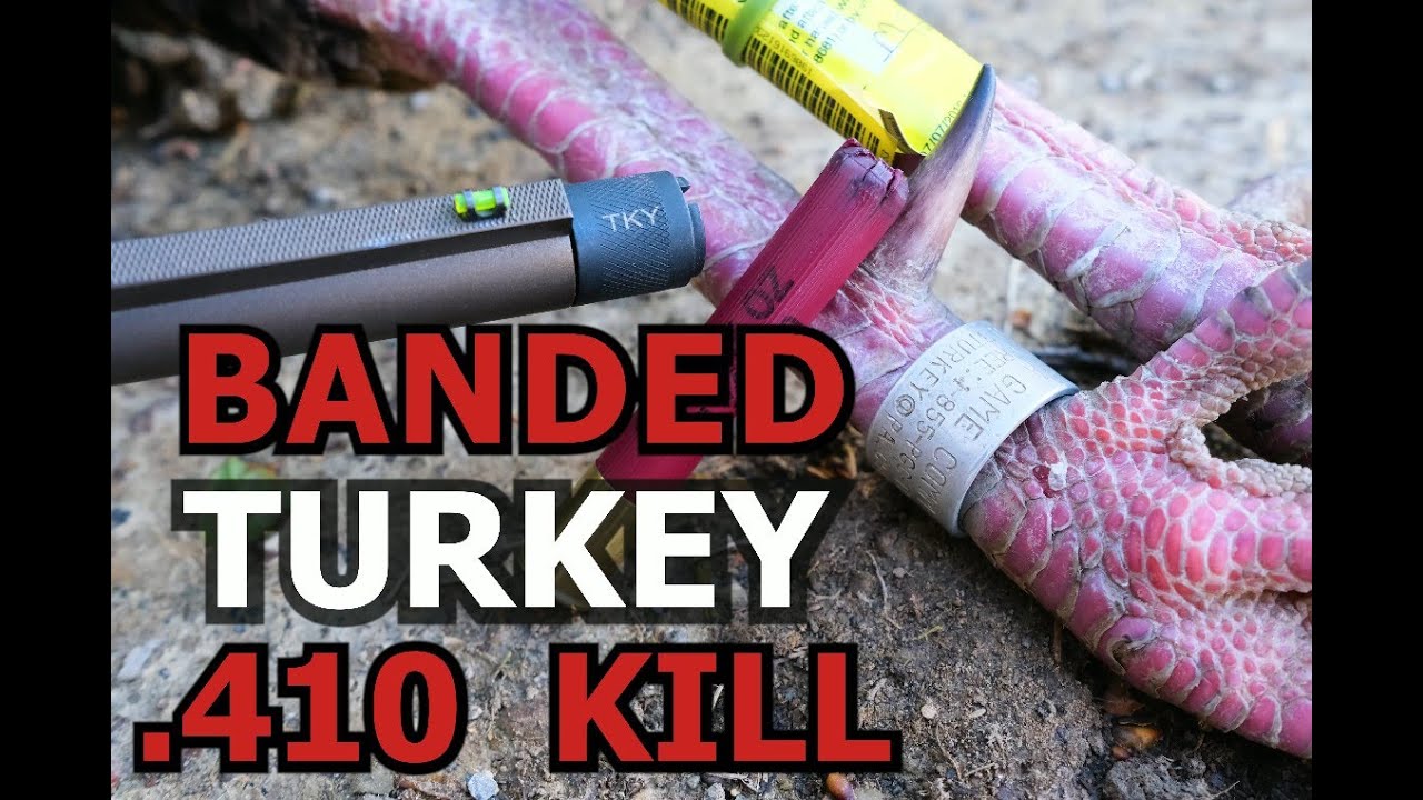 BANDED TURKEY | .410 Kill | TriStar - YouTube
