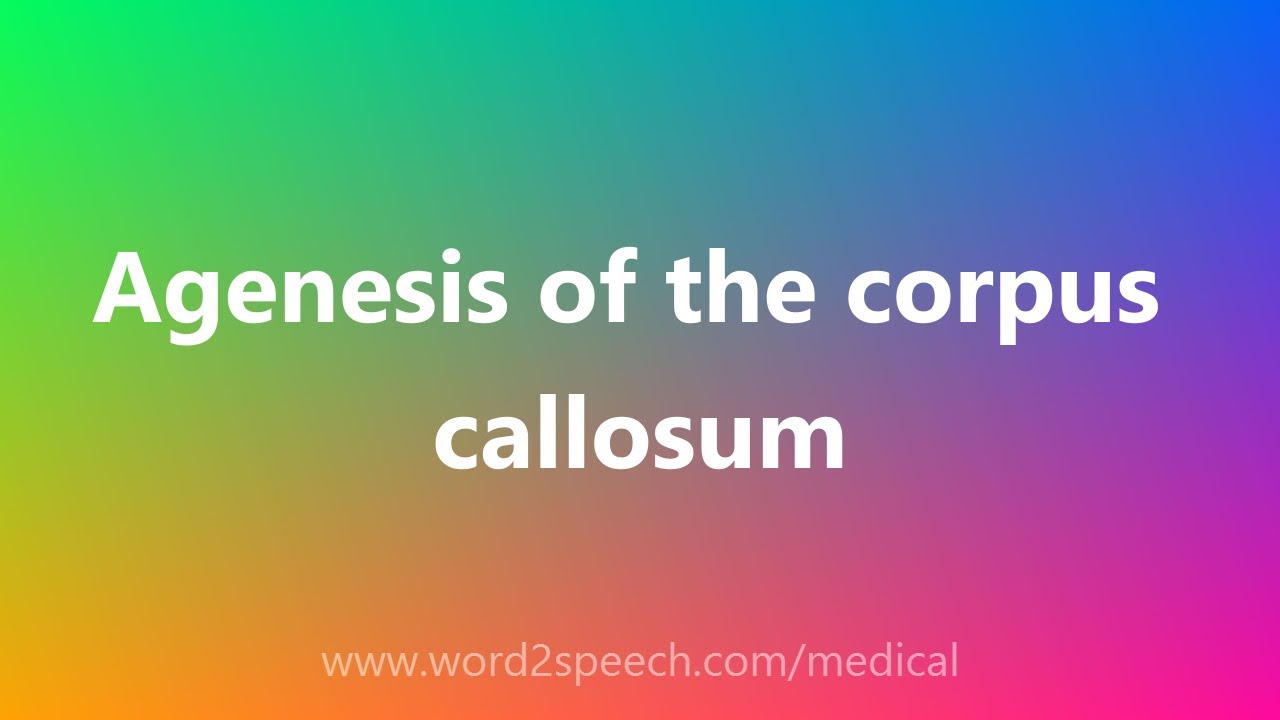 Agenesis Of The Corpus Callosum Medical Definition YouTube agenesis-of-the-corpus-callosum-medical-definition-youtube