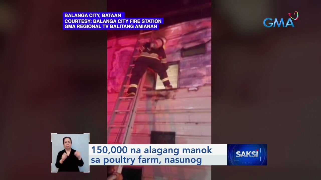 150,000 na alagang manok sa poultry farm, nasunog | Saksi - YouTube