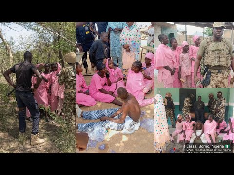 Nigeria Army Fight off BK Fulani Bandits Who kidnap NECO students in Borno 