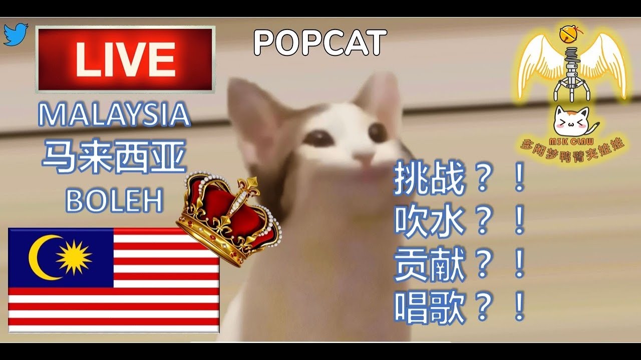 POPCAT – 再一次为马来西亚争光，今天能突破多少呢？ POP猫 - YouTube