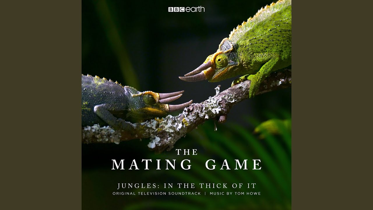 The Mating Game (Main Title) - YouTube