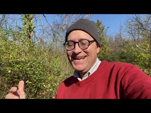 French Park in the Fall