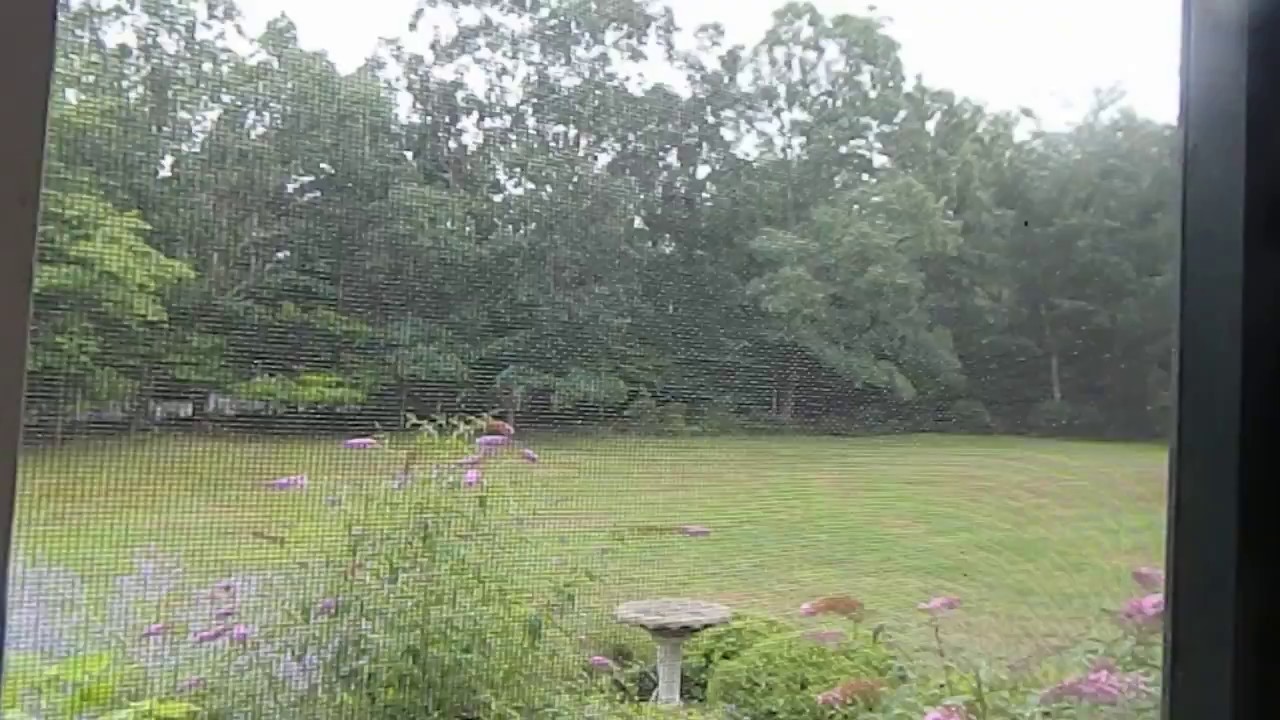 Bug Tornado - YouTube