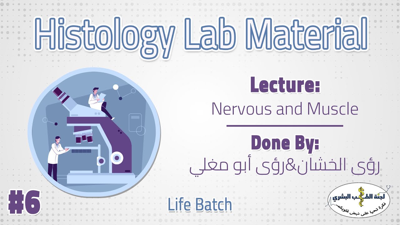 Histology Masters 2023 Batch Lab 6 Muscle And Nervous ~ By Roaa Abu Moghli And رؤى الخشان Youtube