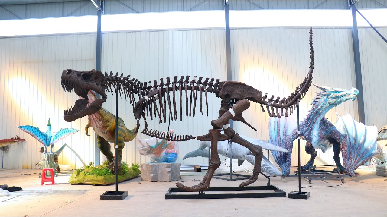 Installation Process Of Dinosaur Skeleton - YouTube