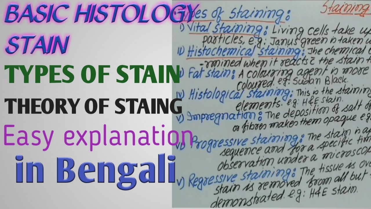 PRINCIPLE OF SATNING_TYPES OF STANING_THEORY OF STANING_EASY ...