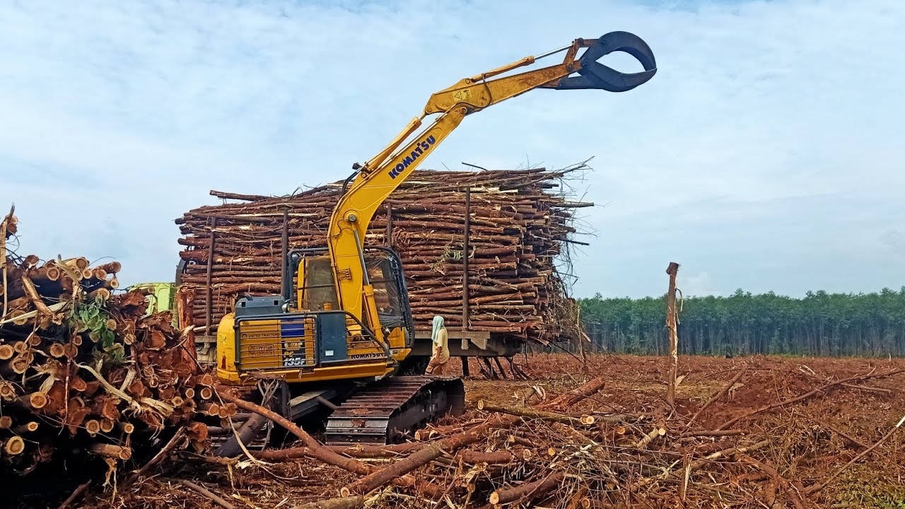Truk Logging Tua Dipaksa Muat sampai Over Load || Komatsu PC 135F-10 M0 ...