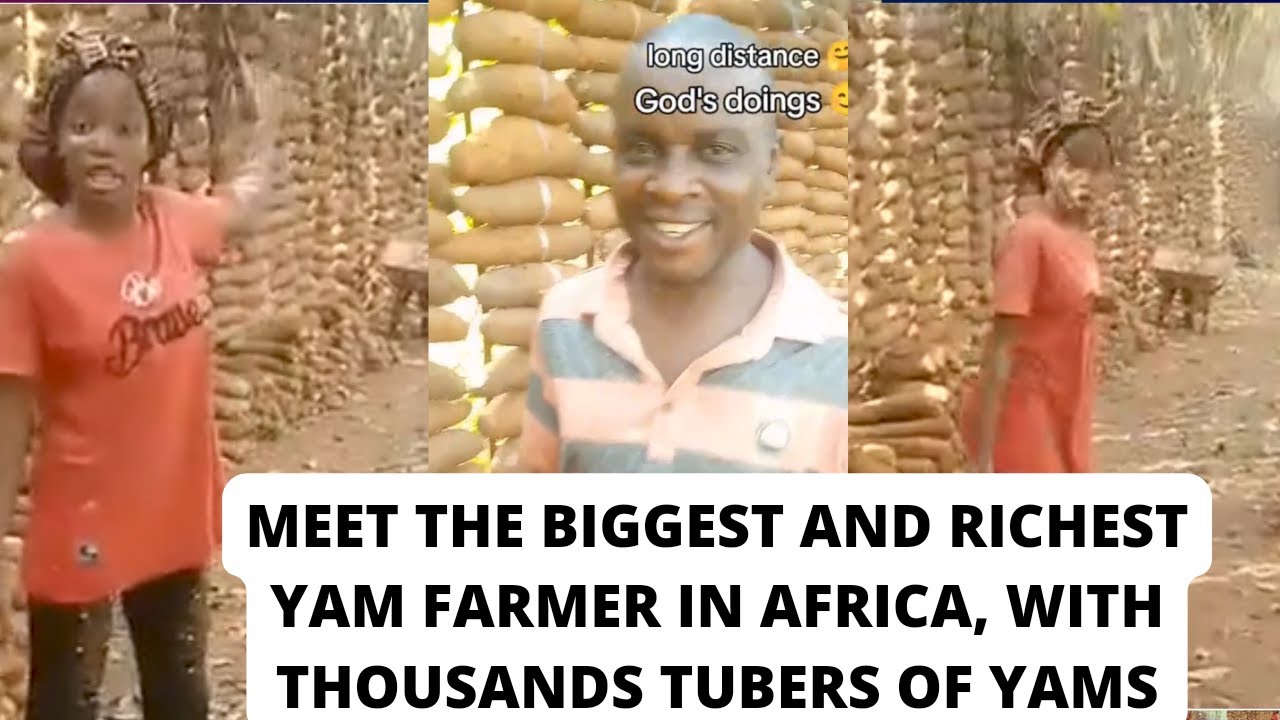 MEET THE BIGGEST AND RICHEST YAM FARMER IN AFRICA, WITH THOUSANDS ...