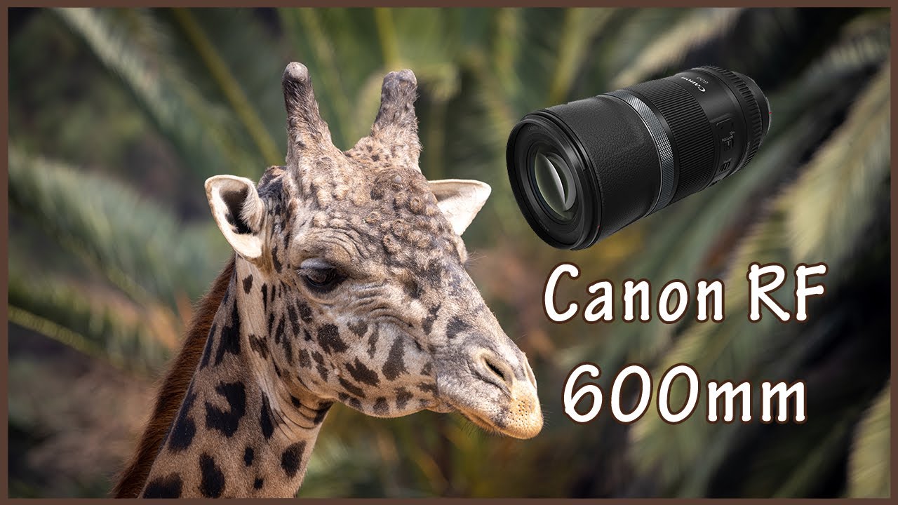 The Canon 600mm RF Lens ( A Three Minute Review) - YouTube