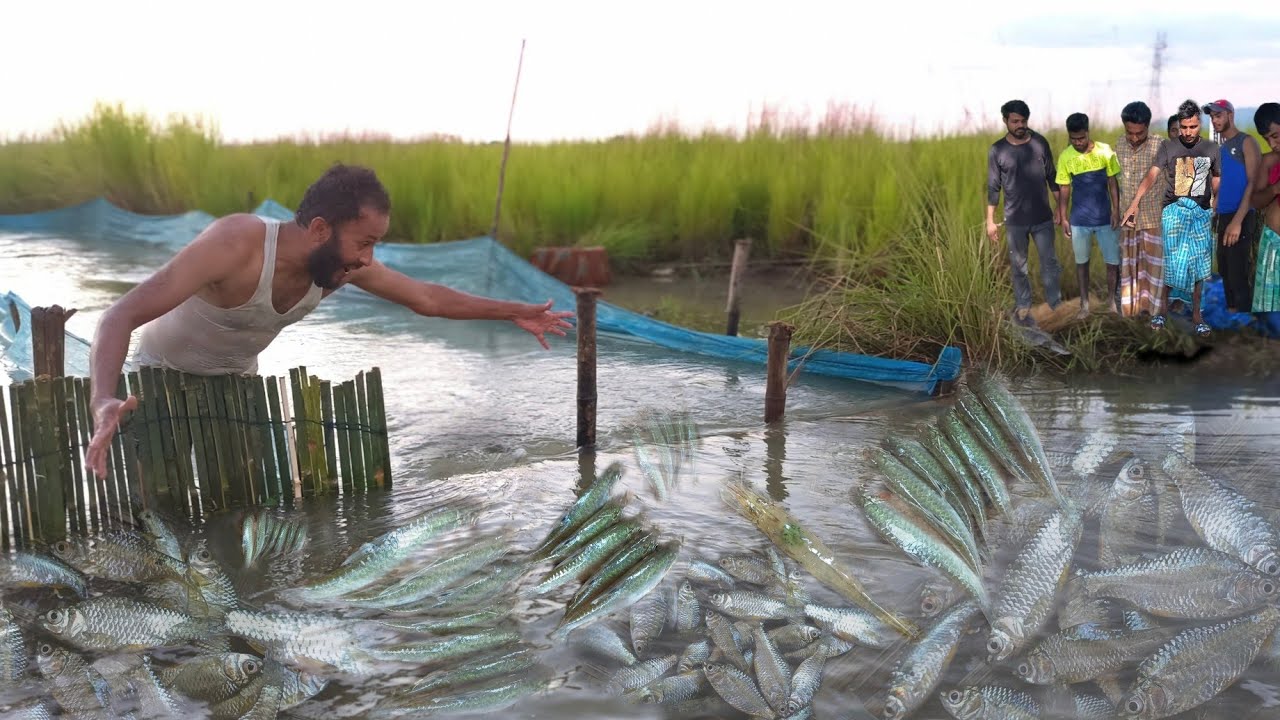 net fishing🥱the village river outstanding net fishing small fish ...
