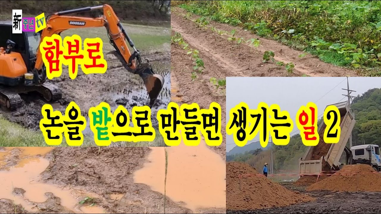 함부로 논을 밭으로 만들면 생기는 일 농사 망해요 ㅠ ㅠ Youtube