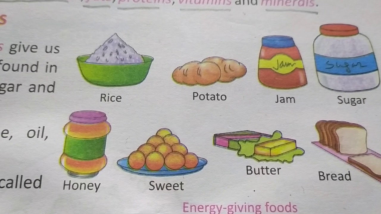 Class-3, Science-Our Food - YouTube