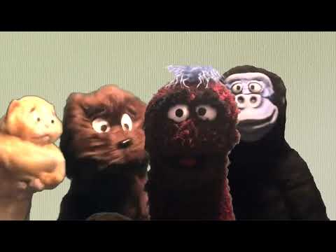 The Pawpet Trio (ft. Hungry Horace) – Fat Cat Sat Hat - YouTube