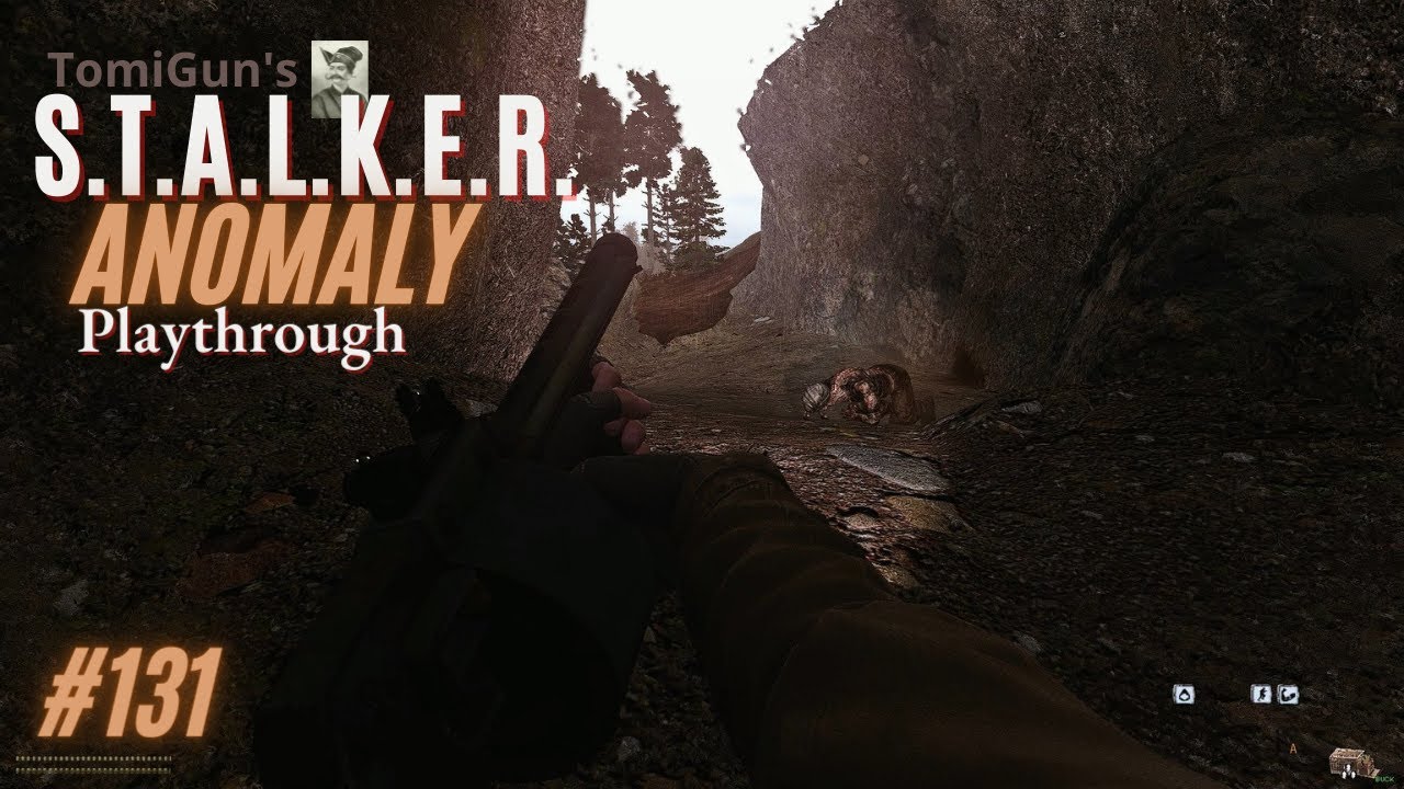 S.T.A.L.K.E.R. Anomaly Part 131: Noah's Snorks (are having their way ...