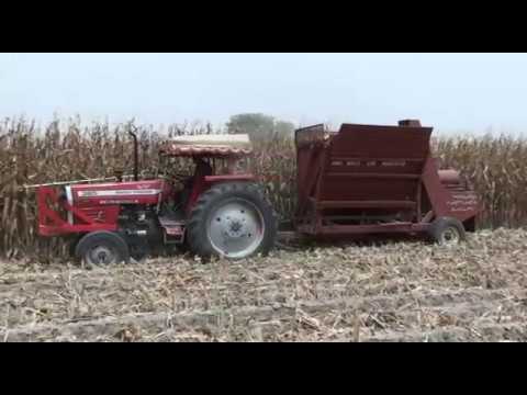 Maize Cob Picker - YouTube