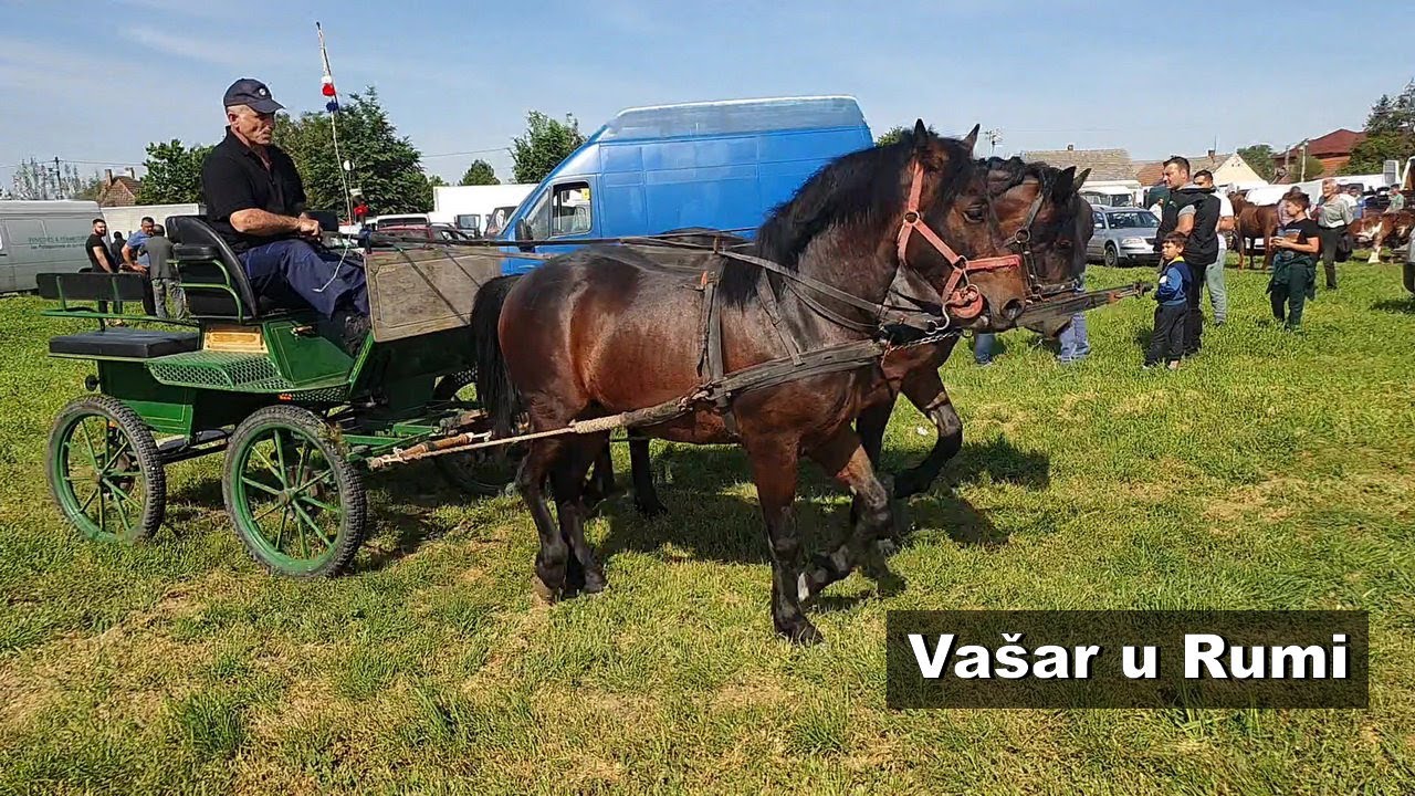 Vašar u Rumi 2025 stoka na vašarištu Video 2 - YouTube