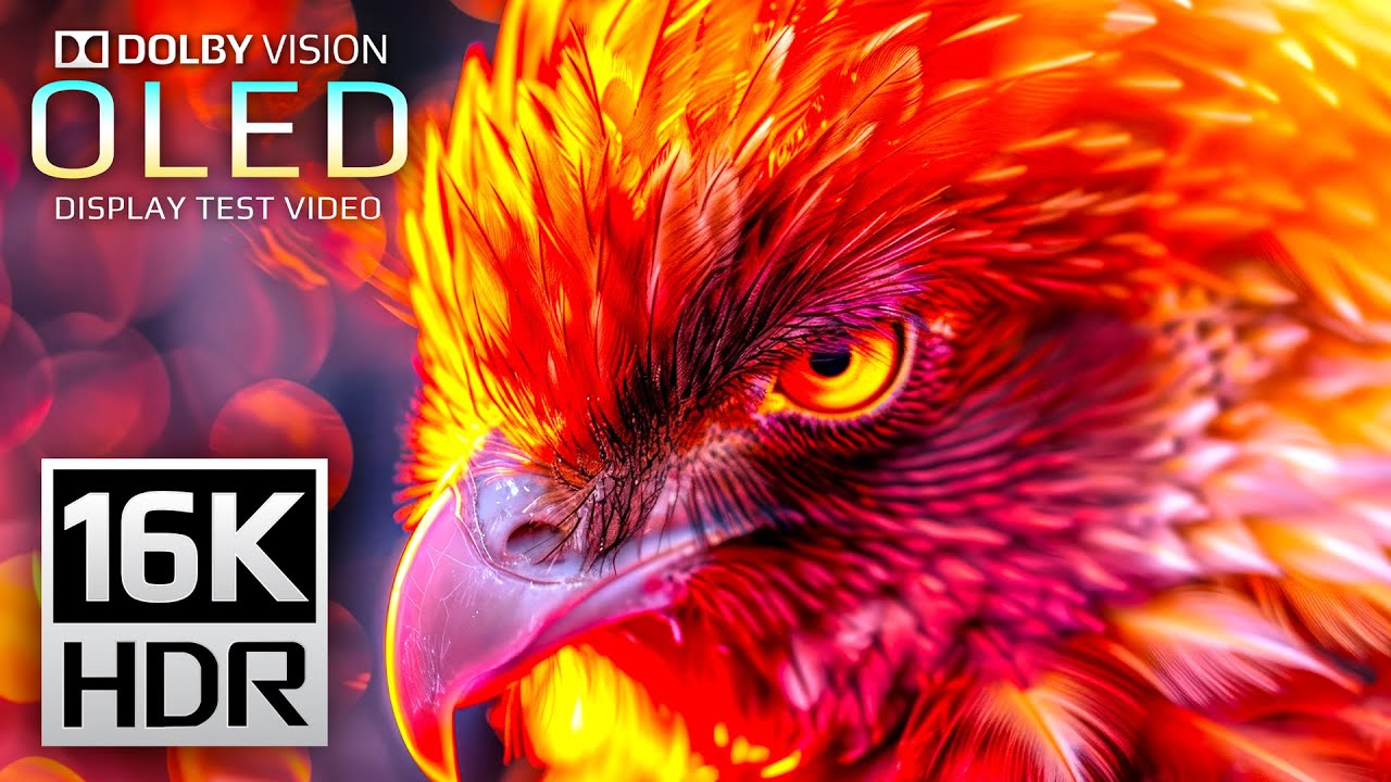 Amazing 16K HDR Dolby Vision 120fps Video (8K/4K TV Test) - YouTube