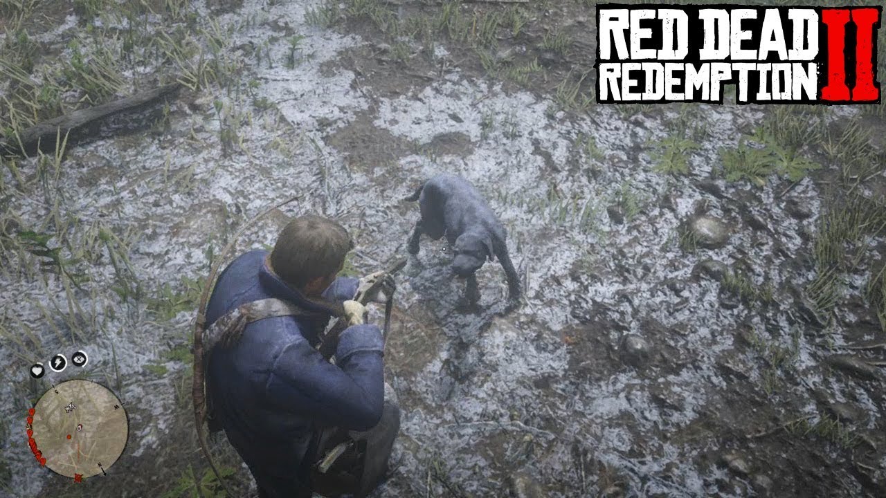 Red Dead Redemption 2 - ATTACKED by DOGS - YouTube