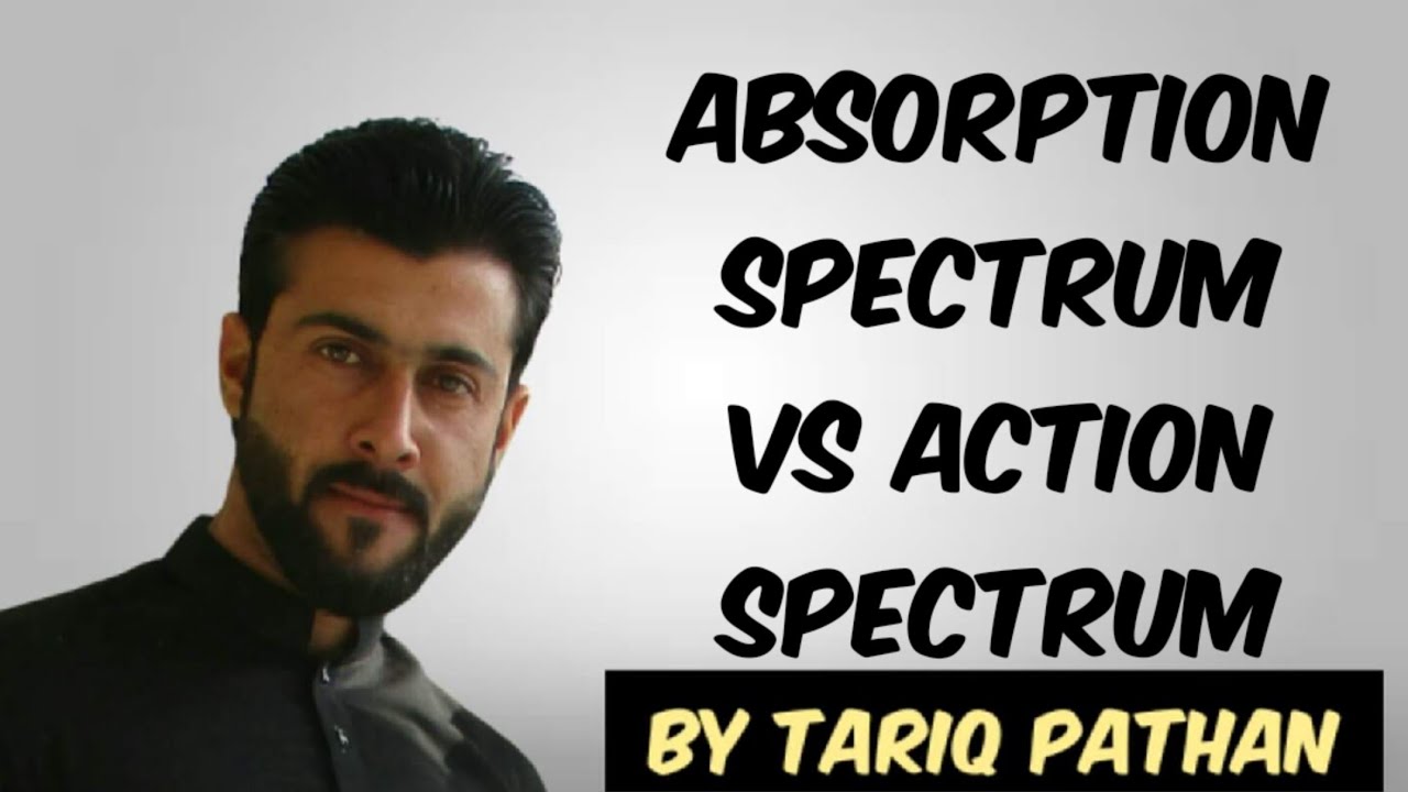 Class 11 Chapter 4 - Absorption Spectrum vs Action Spectrum by Tariq ...