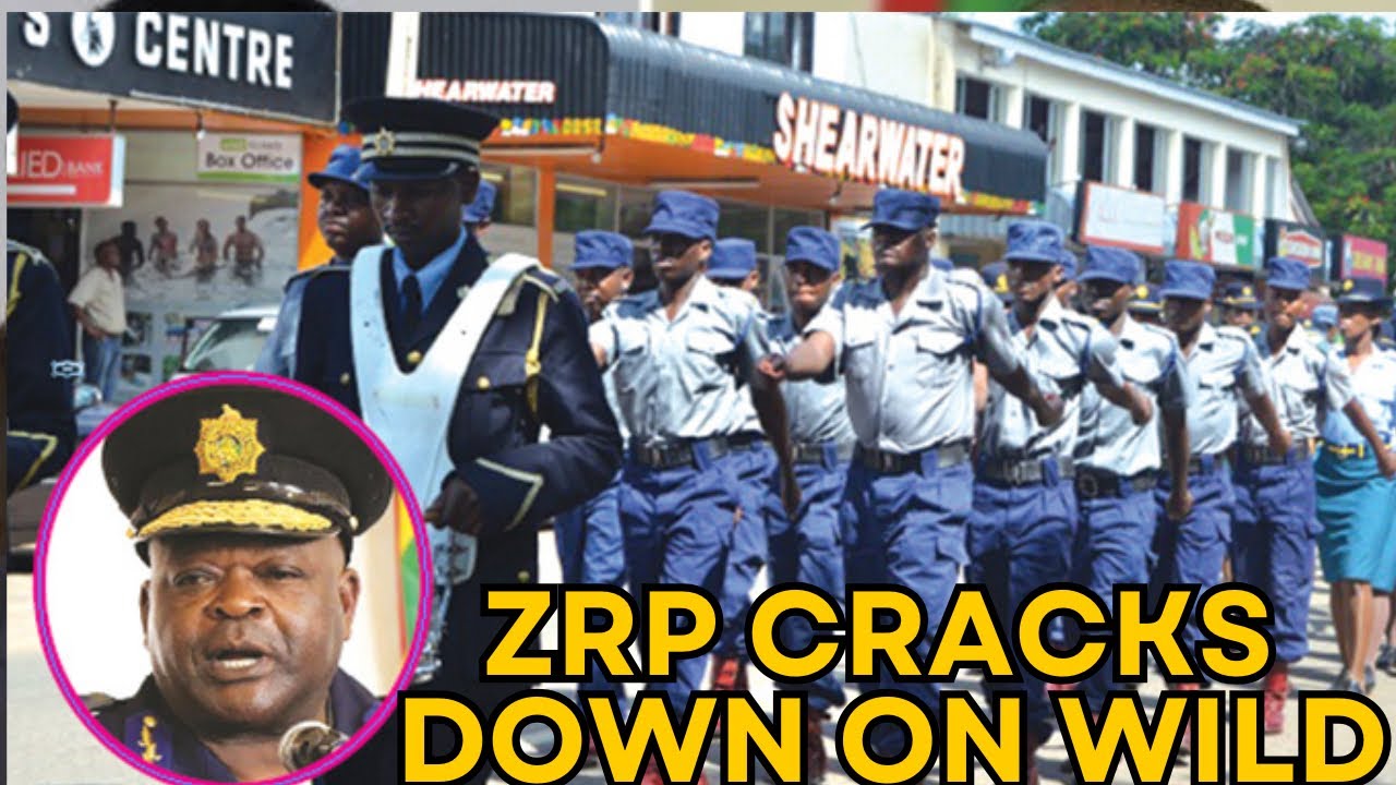 🚨ZRP CRACKS DOWN on WILD 'Vuzu Party' in Mutare After Shocking Invite ...