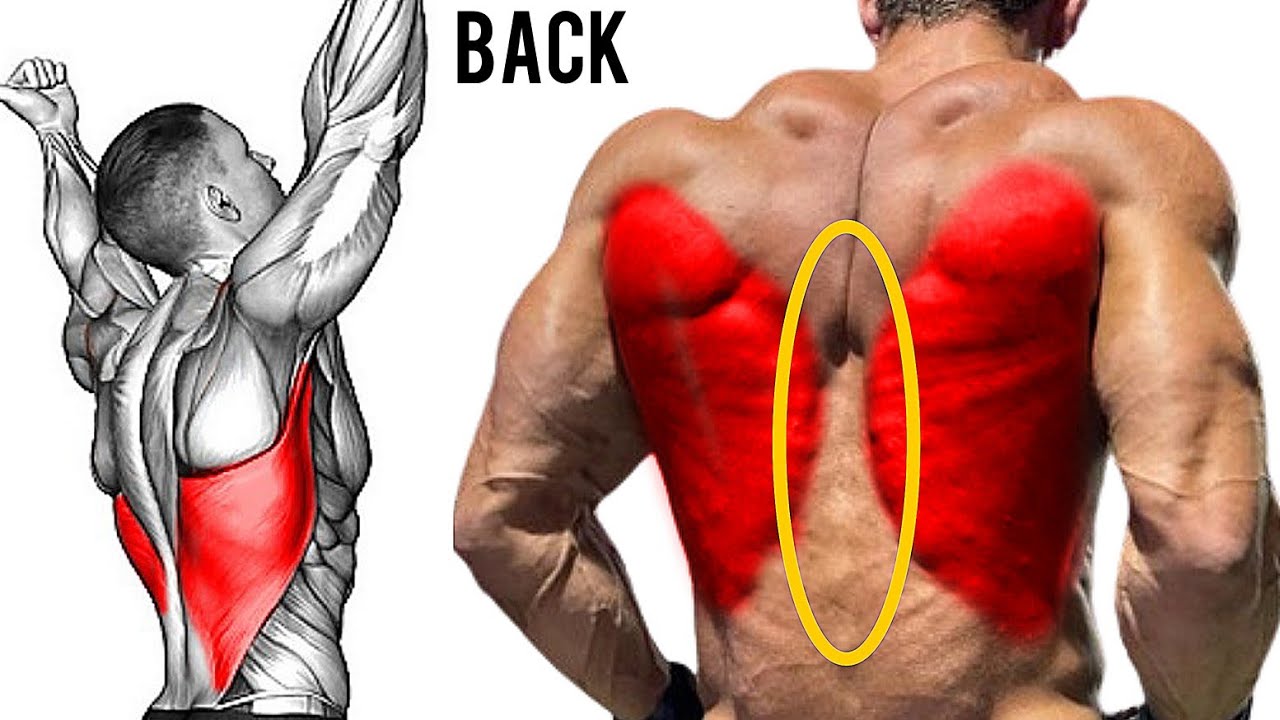 Shredded Back Workout 6 Best Exercises You Can - YouTube