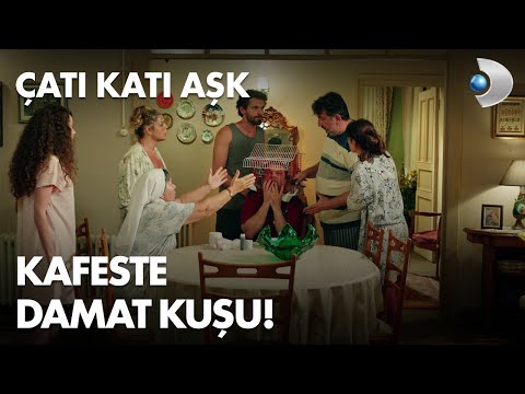 Kafeste damat kuşu! - Çatı Katı Aşk 1. Bölüm