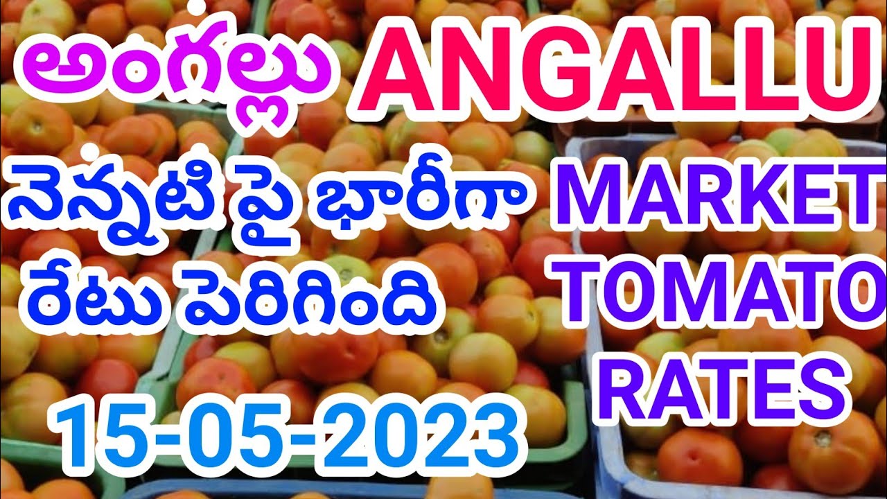 15-05-2023#ANGALLU MARKET TOMATO RATES - YouTube