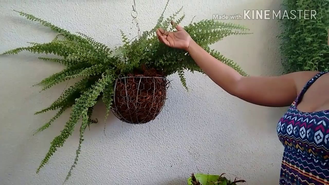 Como fazer vaso de fibra de coco (DIY) - YouTube