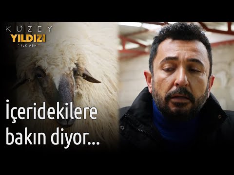 Kuzey Yıldızı İlk Aşk 60. Bölüm - İçeridekilere Bakın Diyor...