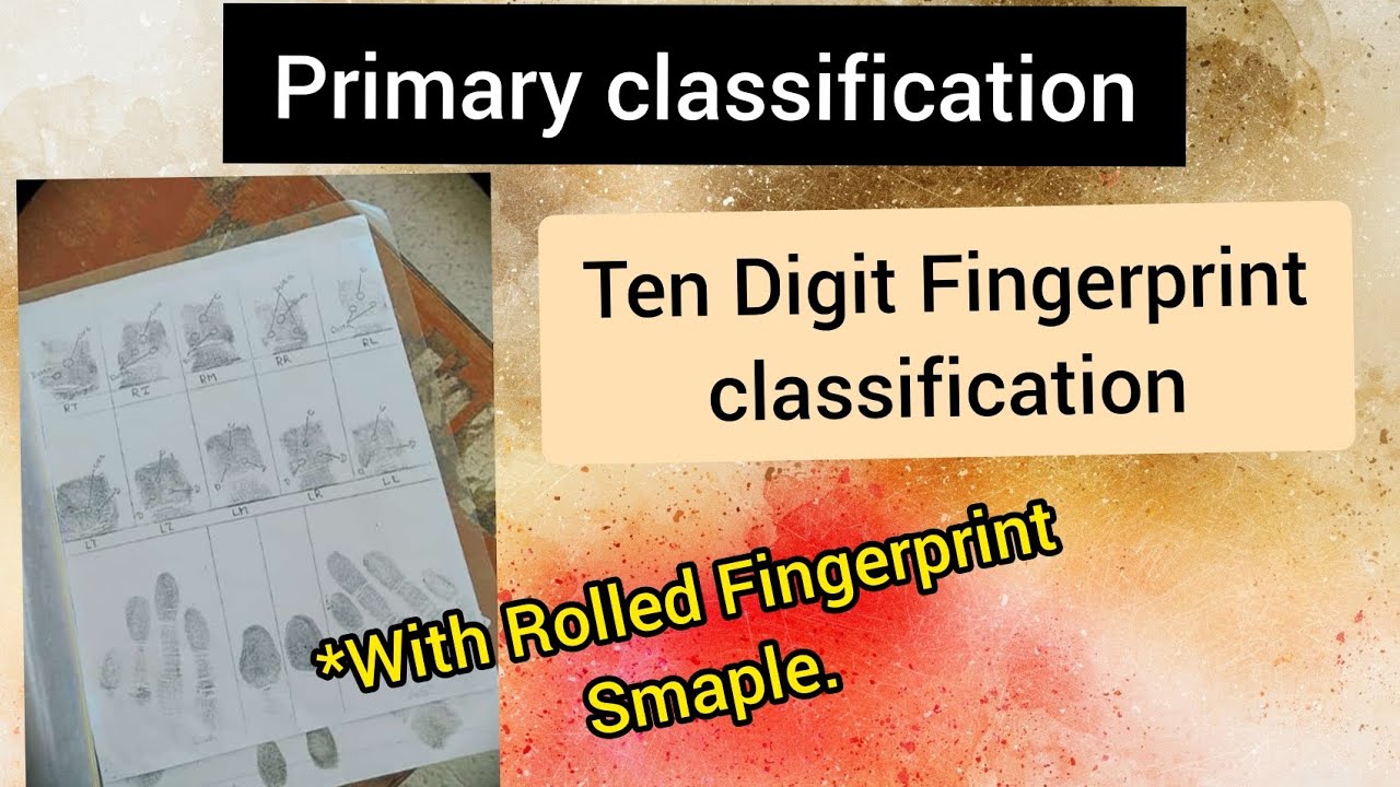 Primary Classification Of Fingerprints|| With Fingerprint Sample ...