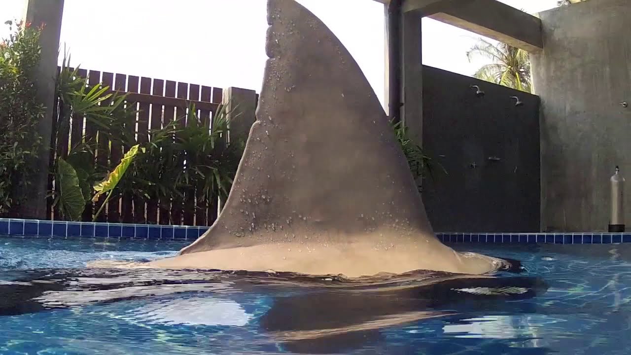 Shark Fin Test1 - YouTube