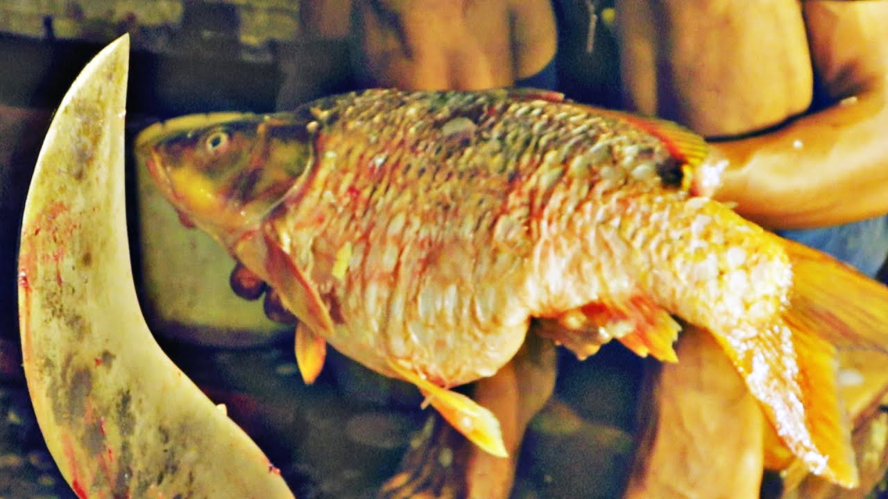 Amazing Cutting Skills || Carfu fish Cutting By Expert Fish Cutter ...