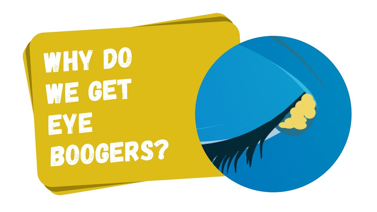 Why do we get eye boogers? (in 4k, Ultra HD) - YouTube