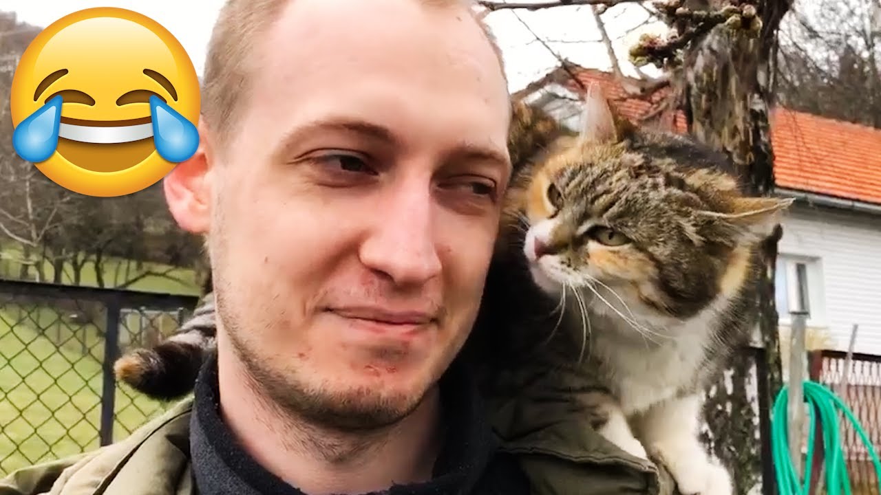 SUPER Weird Cats Doing Weird Things - Funniest Cats Compilation || PETASTIC 🐾 - YouTube