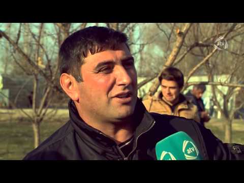 Toy Əhvalatı - Fizuli (07.02.2016)