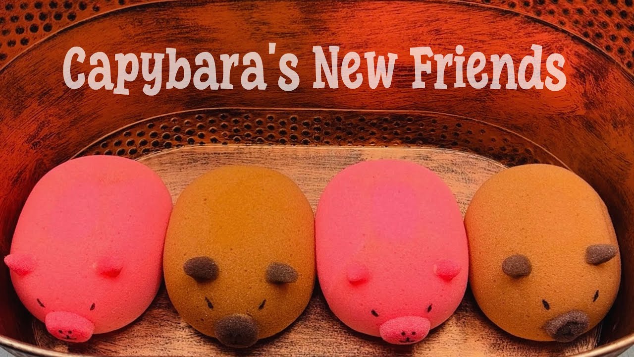 ASMR Sponge 982.Capybara's New Friends - YouTube