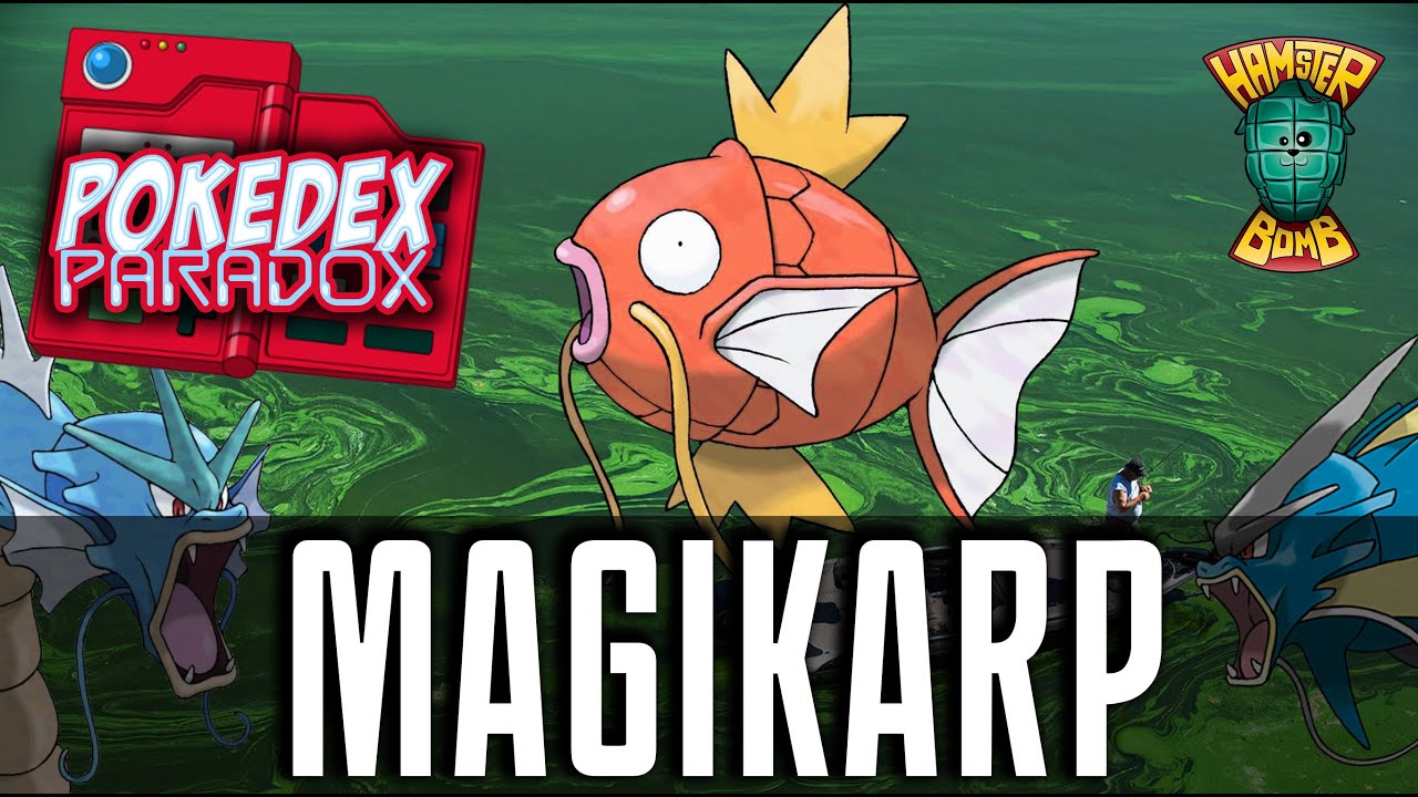 Pokedex Paradox Ep.19 Magikarp - YouTube
