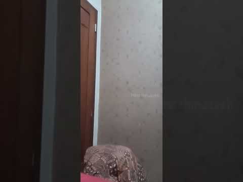 Dinda belajar goyang WOT sambil live | Bigo Live @massehmazzehreborn3486